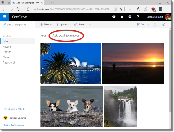 Recover Deleted Files in OneDrive - Ask Leo!