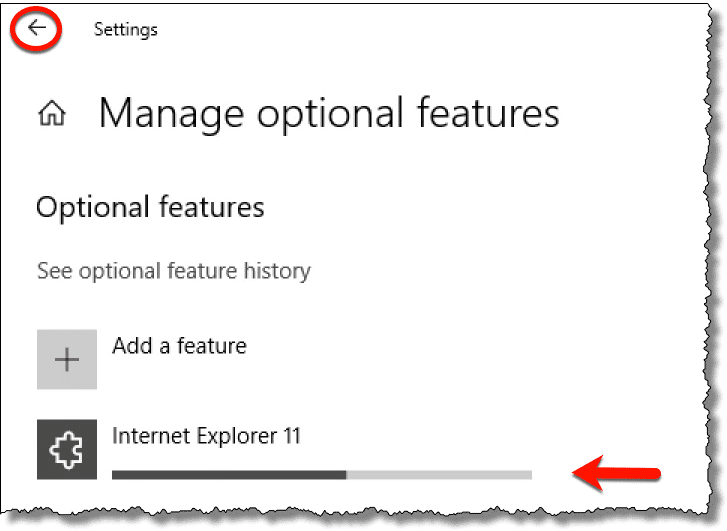 How Do I Uninstall and Reinstall Internet Explorer in Windows 10? - Ask ...